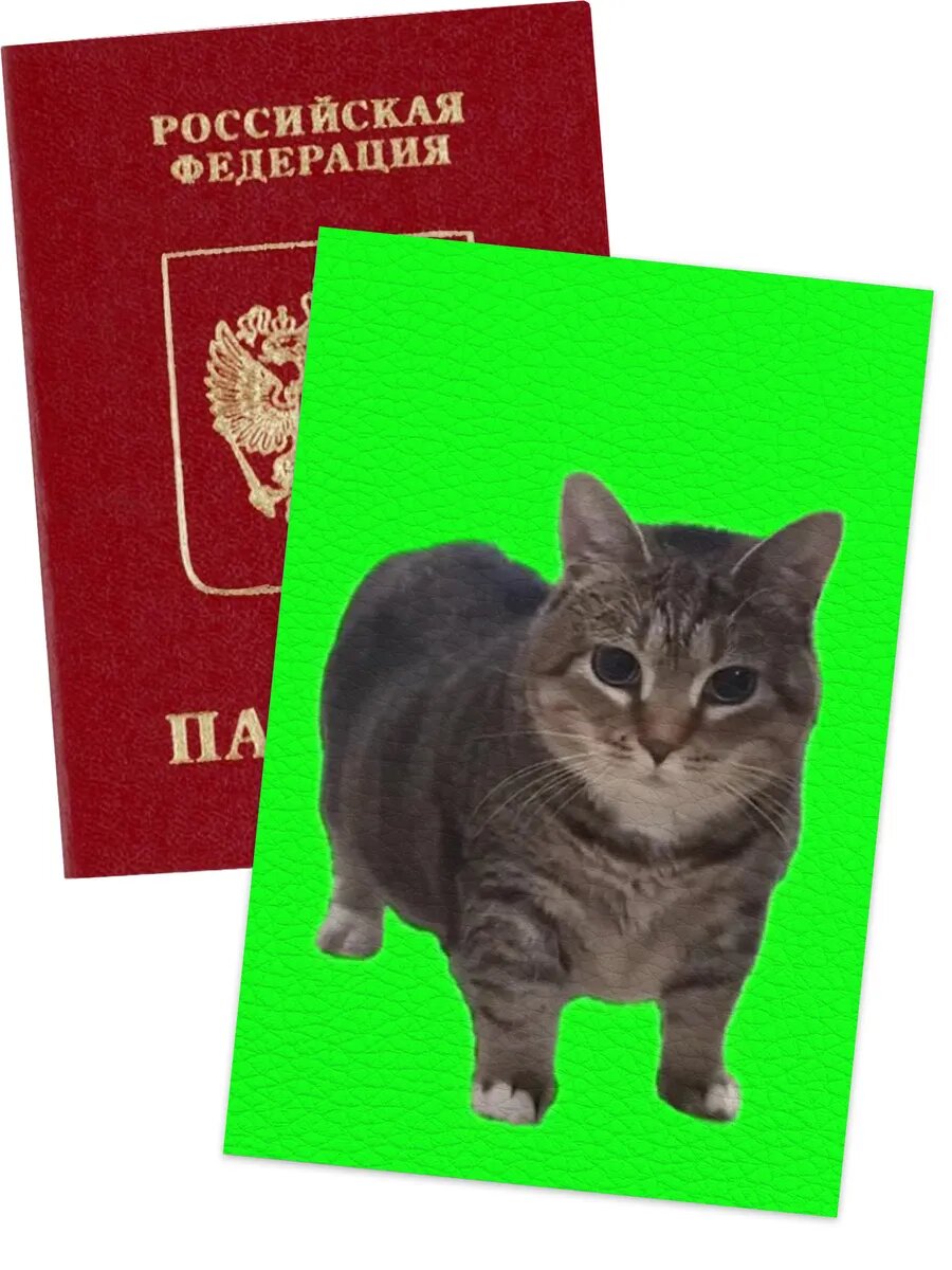 Обложка для паспорта