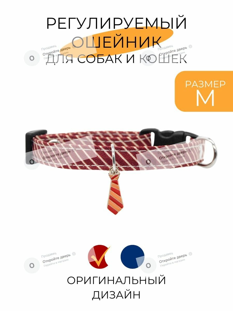 Ошейник1