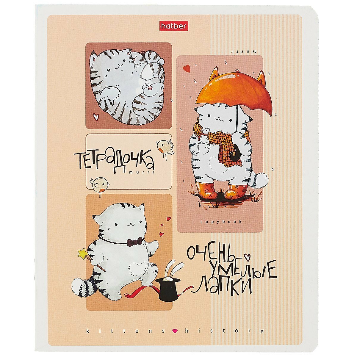 Тетрадь в клетку Hatber, "Приключения кота Пирожка", 24 листа, в ассортименте
