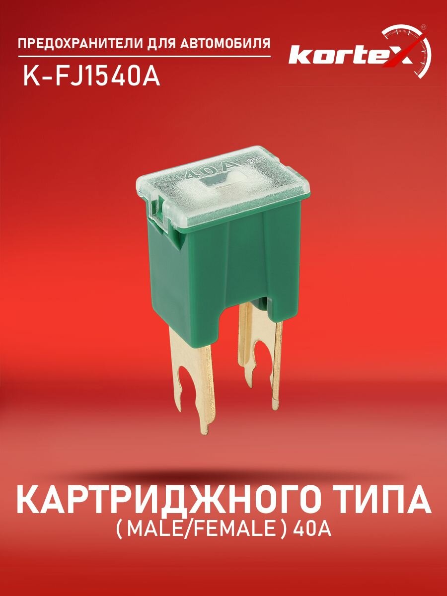 Предохранитель картриджного типа ( male/female ) 40A