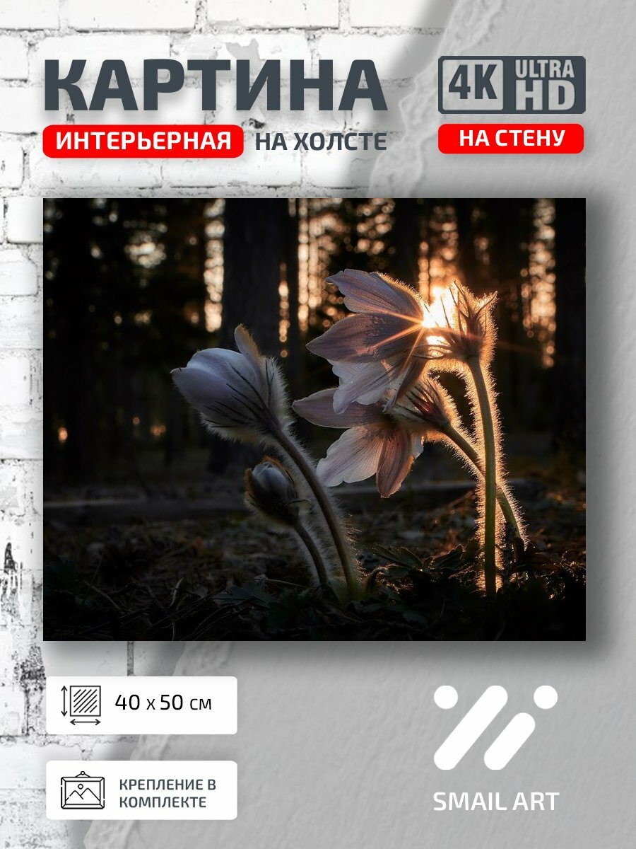 Картина на холсте интерьерная 40 на 50 на стену Цветы Landscape для офиса пейзаж интерьер