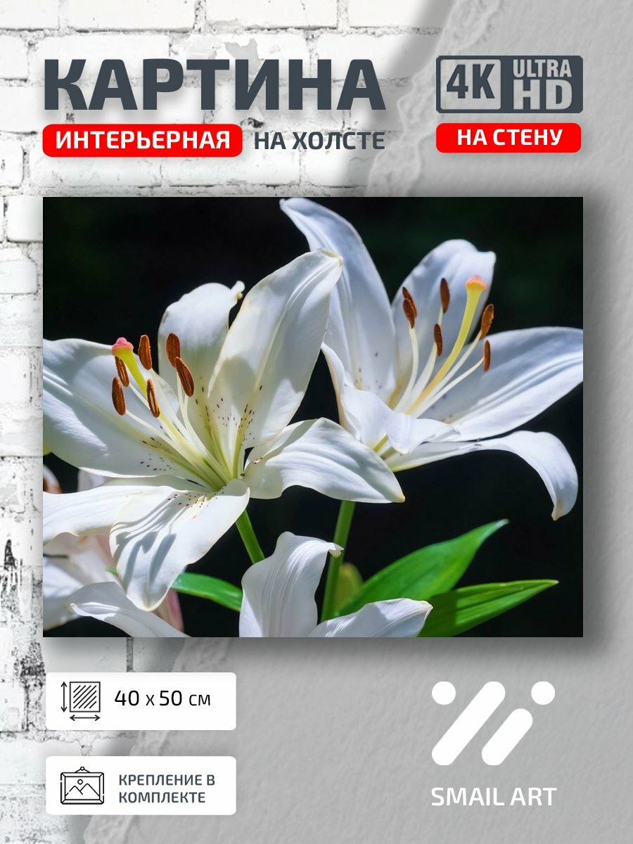 Картина на холсте интерьерная 40 на 50 на стену Фон Mood для офиса атмосфера интерьер декор