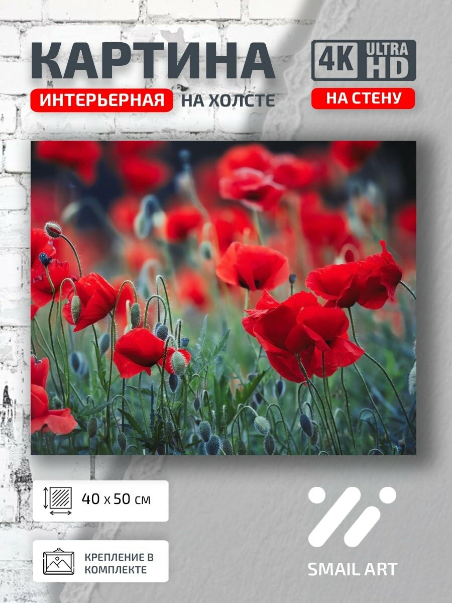 Картина на холсте интерьерная 40 на 50 на стену Природа маки для гостиной пейзаж