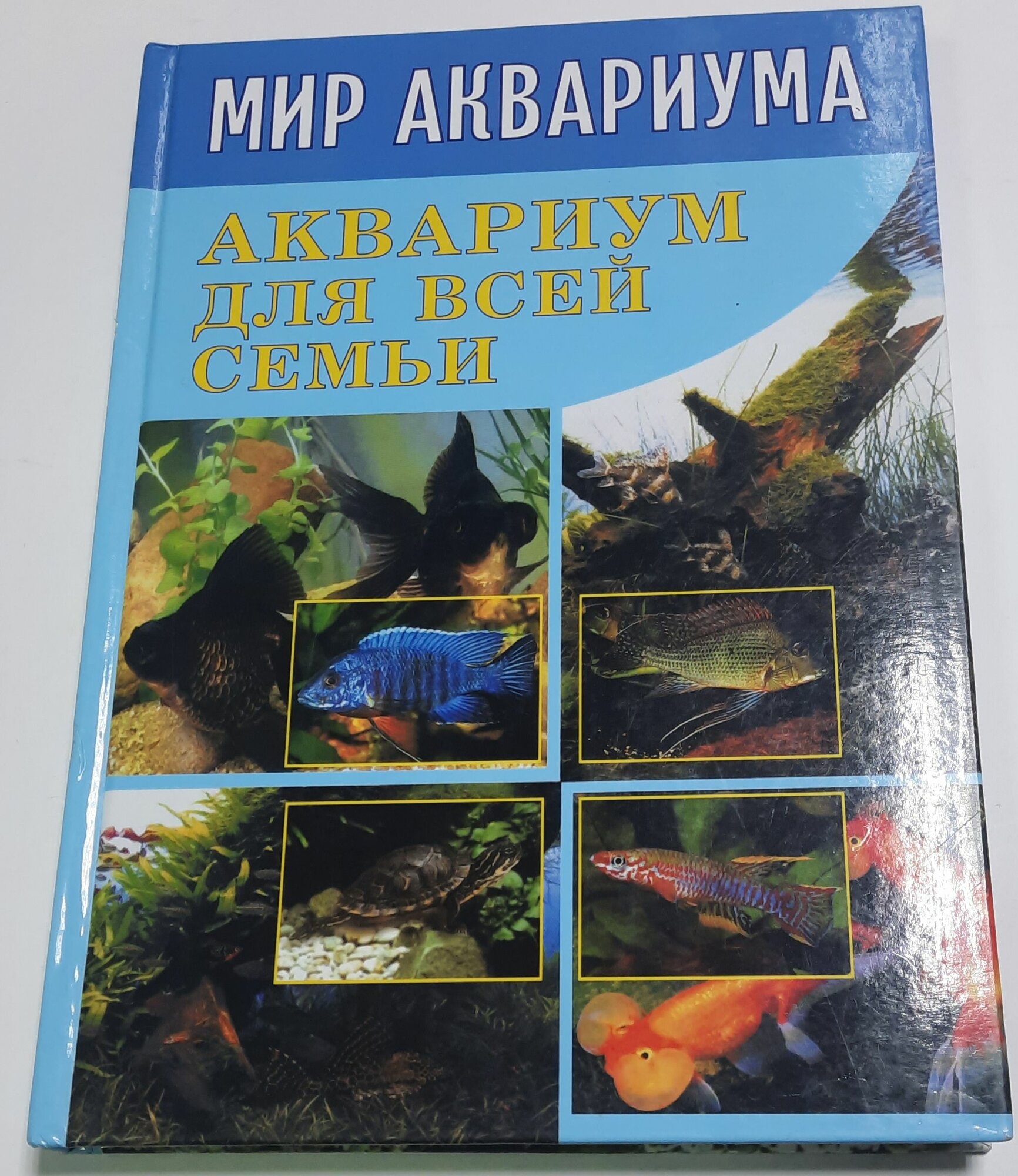 Аквариум для всей семьи