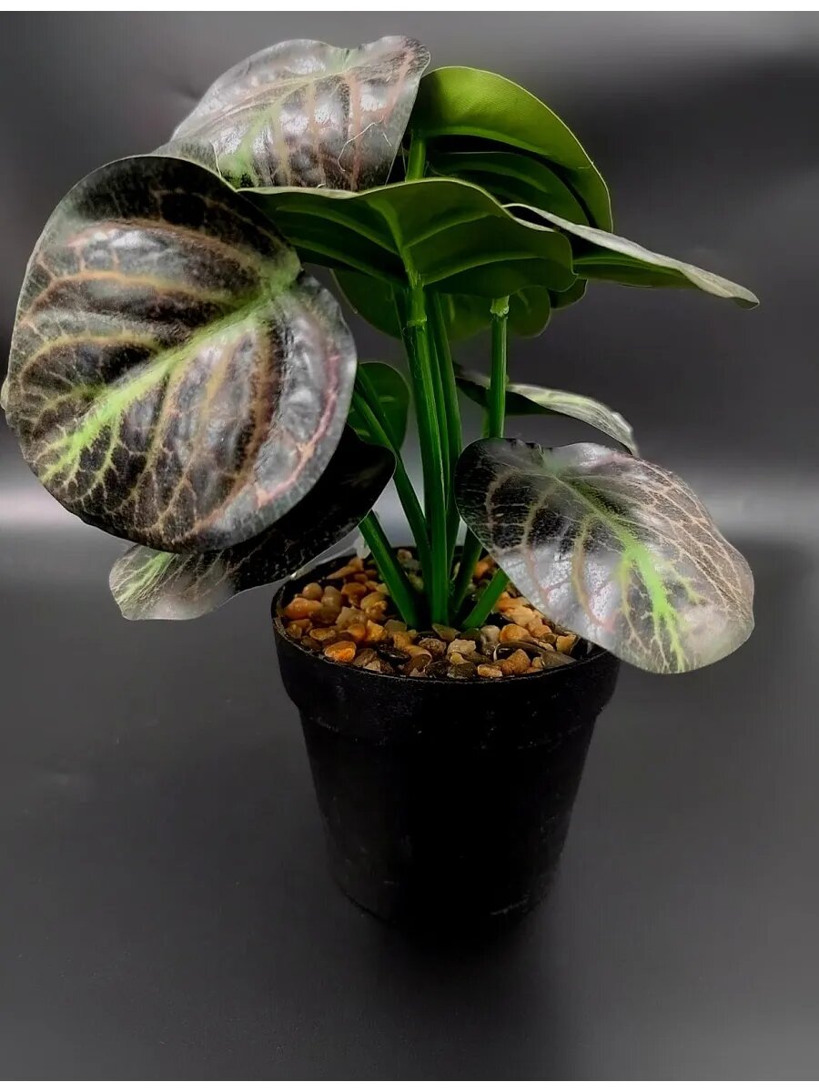 Цветок искусственный в горшке "Антуриум"