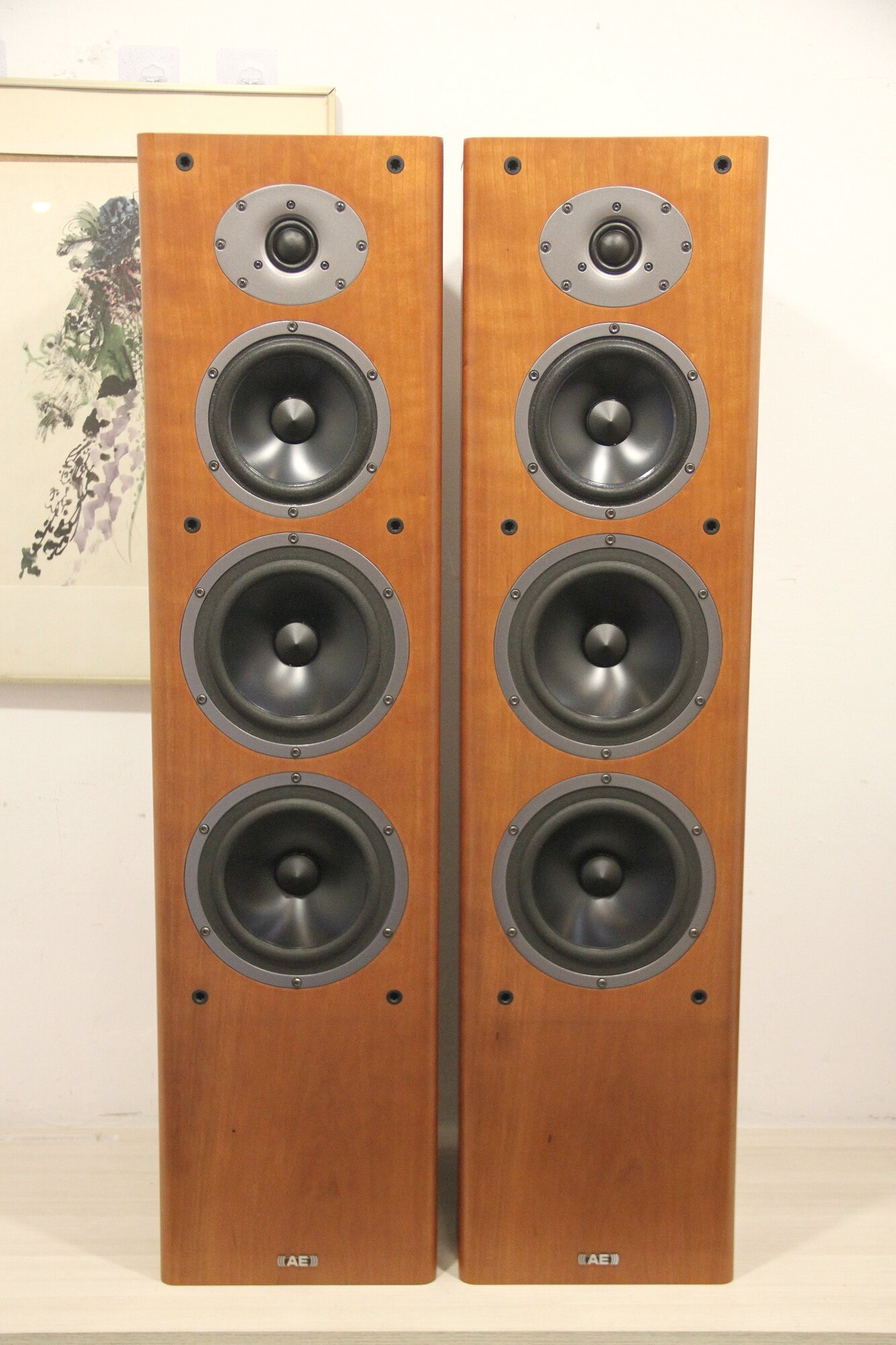 Акустика Acoustic Energy Aelite 3