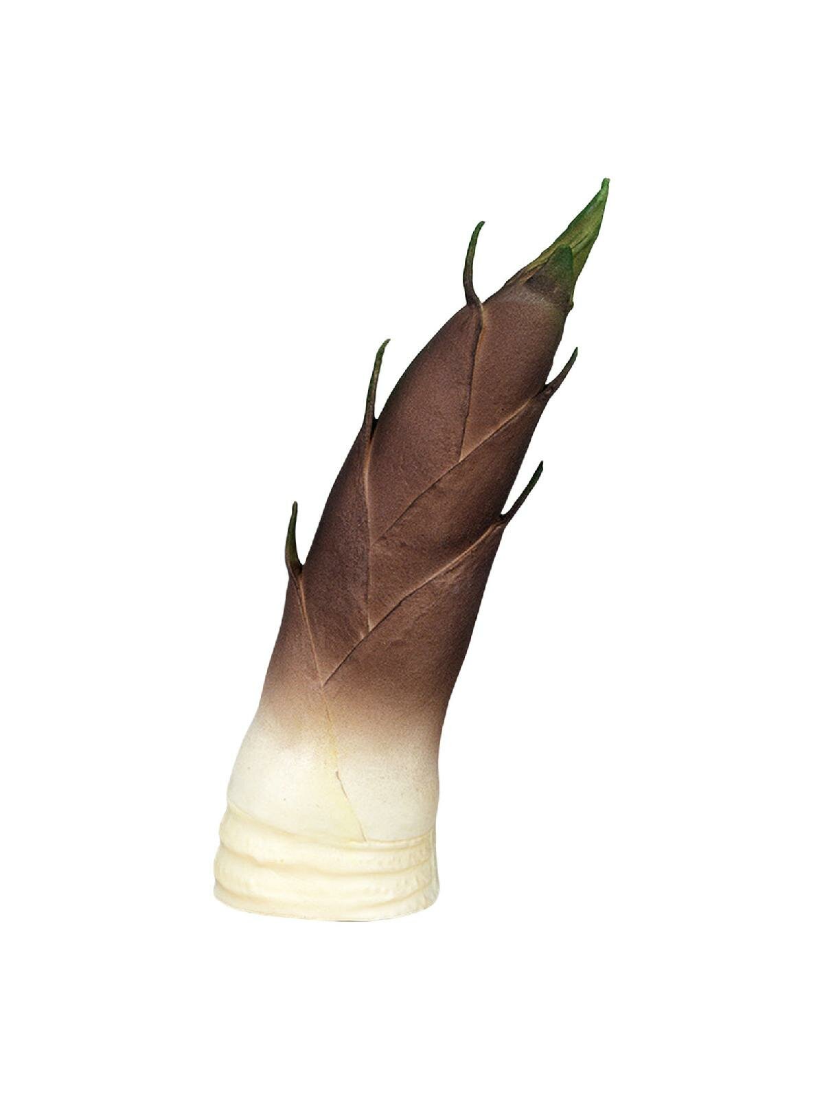 Имитация побегов бамбука Украшение кухни овощами для витрины магазина