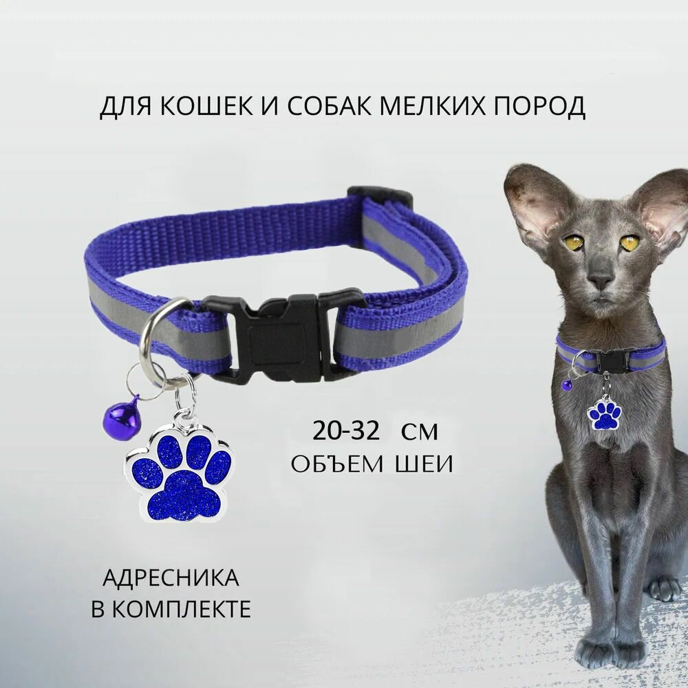 Шнурок с адресником для кошек и собак мелких пород ", синий.