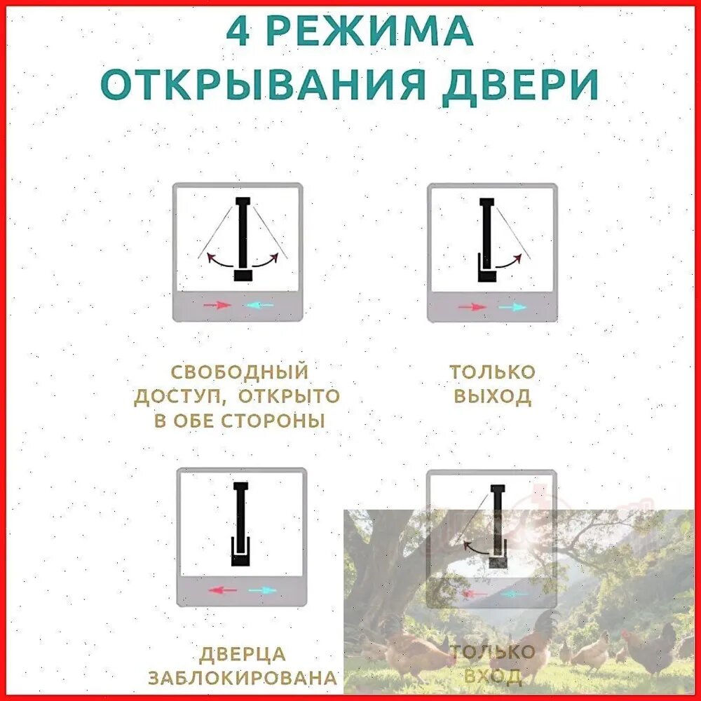 Дверца для животных — фото 1