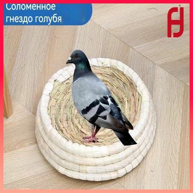 Насест для голубей