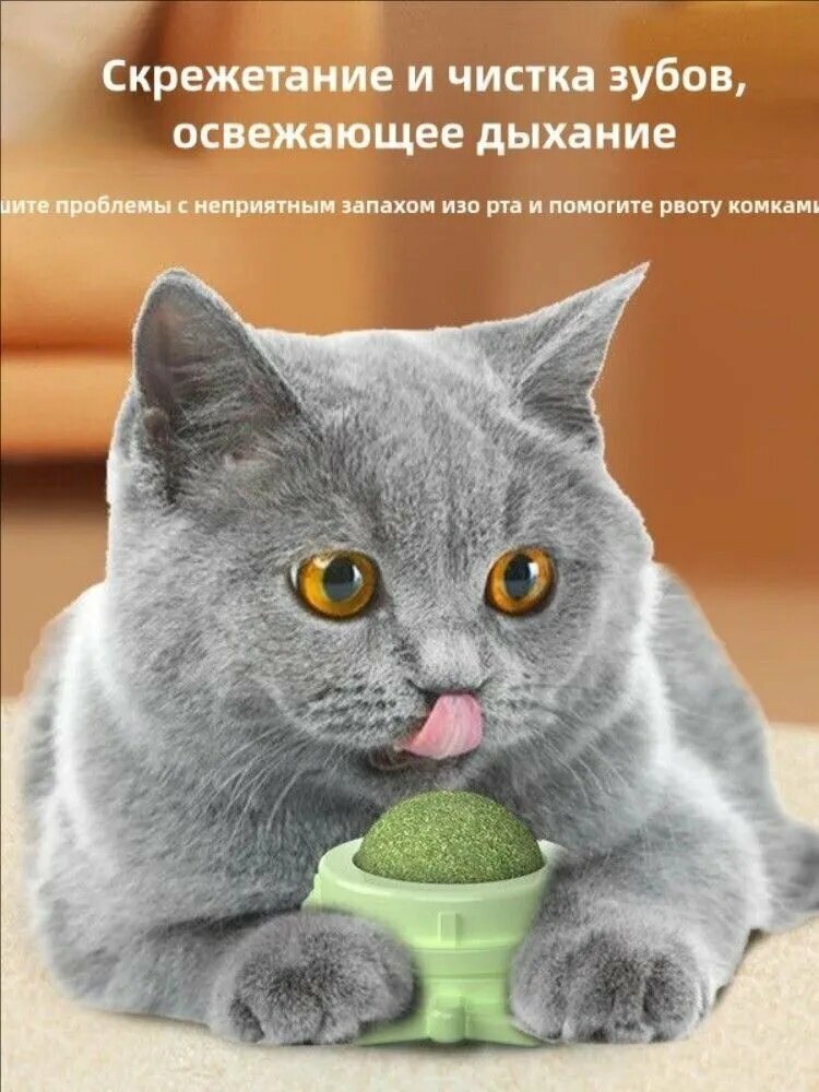 Игрушка для животных