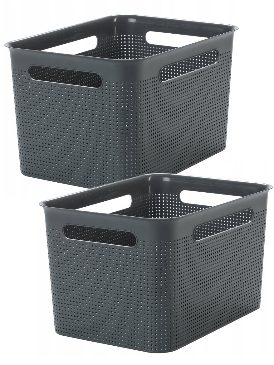 Контейнер для хранения вещей Rotho Brisen L