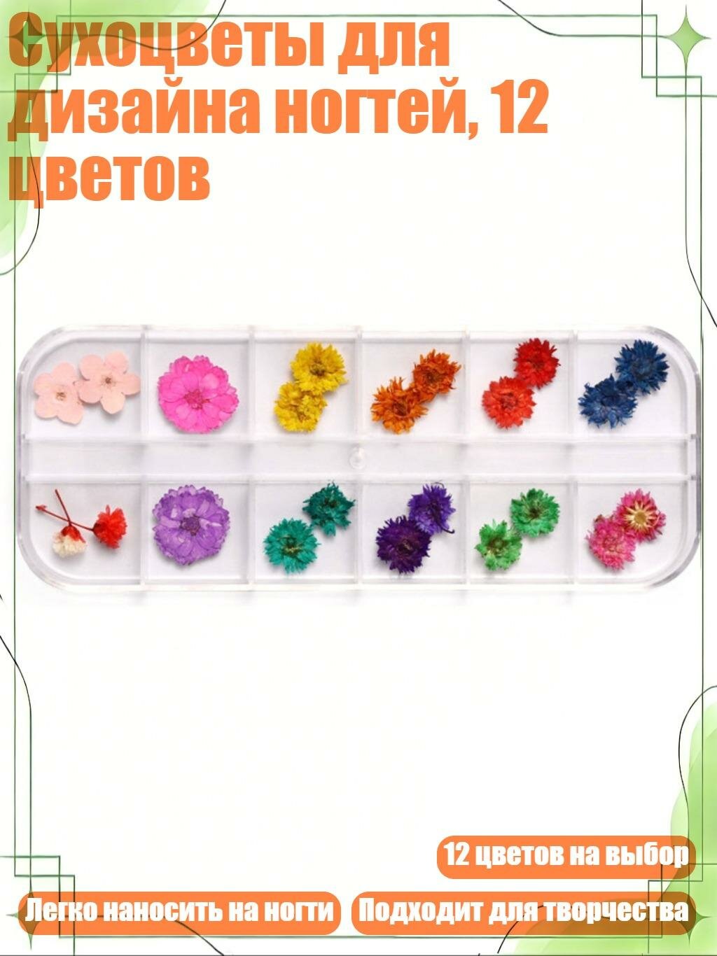 Сухоцветы для дизайна ногтей, 12 цветов, D