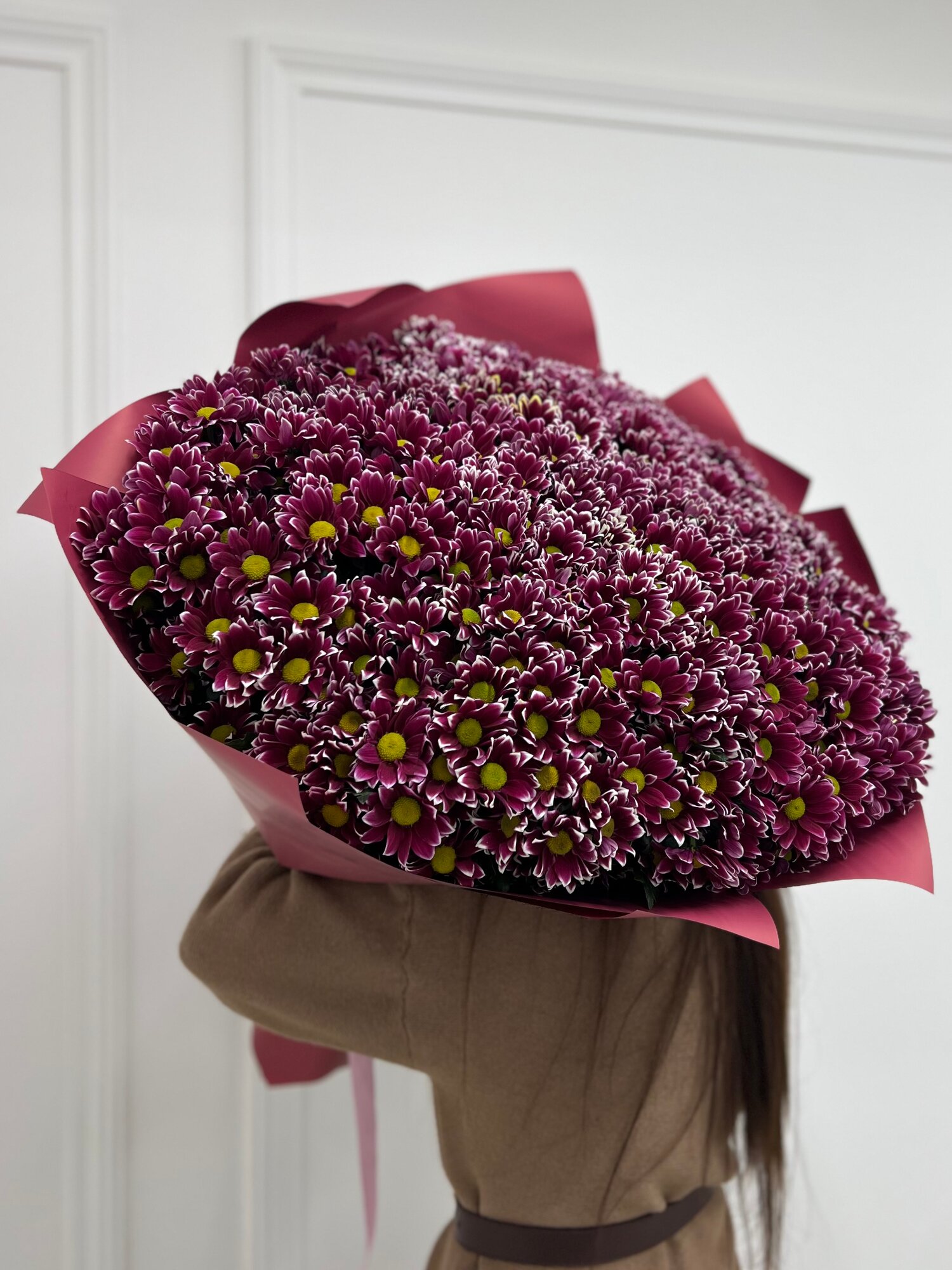 Букет из 75 бордовых кустовых хризантем — роскошный большой букет, свежие цветы с доставкой по Москве