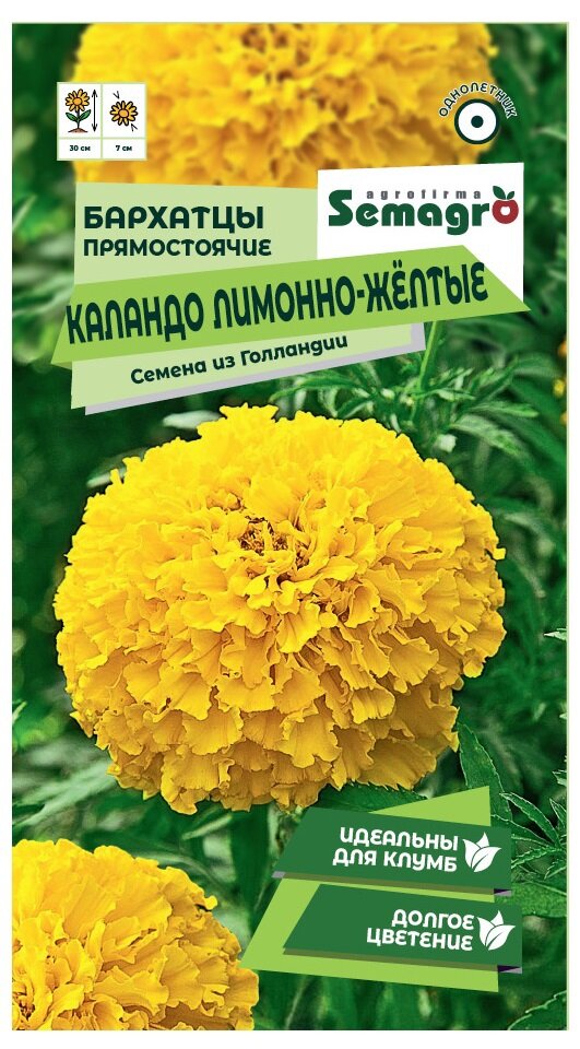 Семена цветов бархатцы Каландо лимонно-желтый, для дачи, сада, огорода и на рассаду