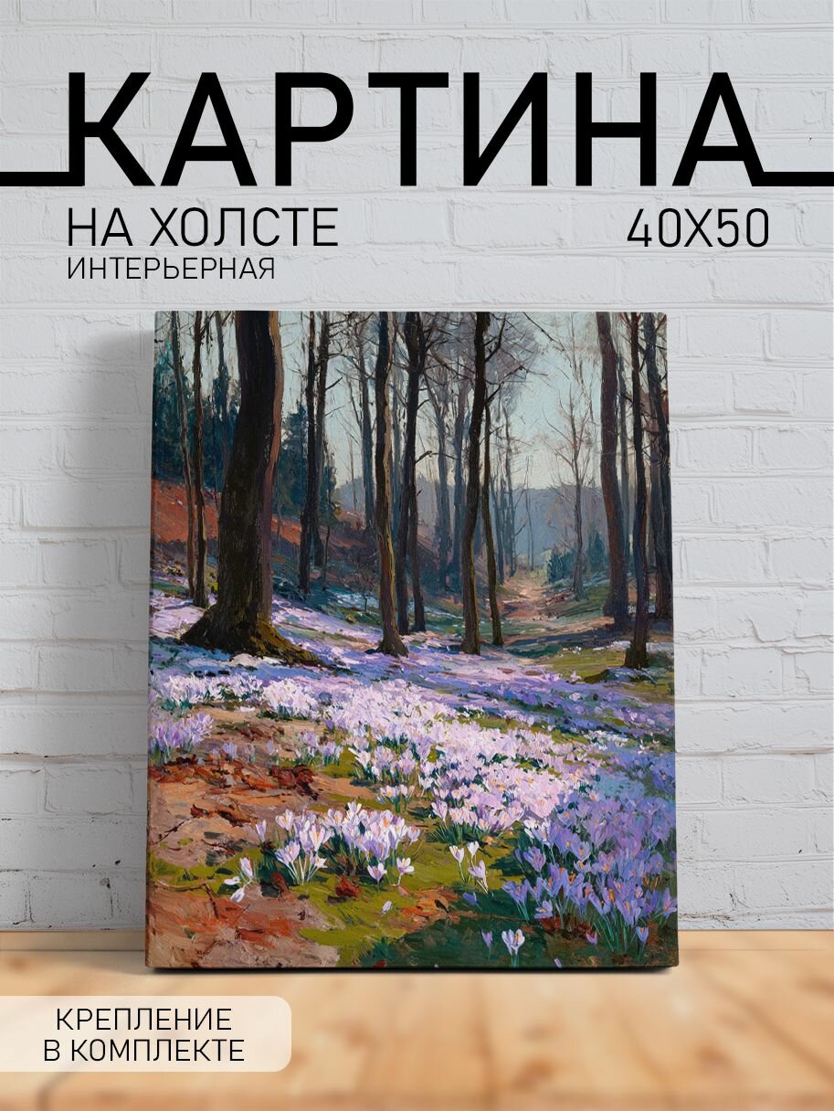 Картина на стену для интерьера на холсте с подрамником "Весна. Лес. Подснежники", 40х50 см