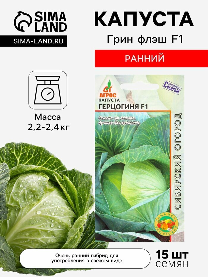 Семена Капуста «Грин флэш», F1, 15 шт, «Агросс»