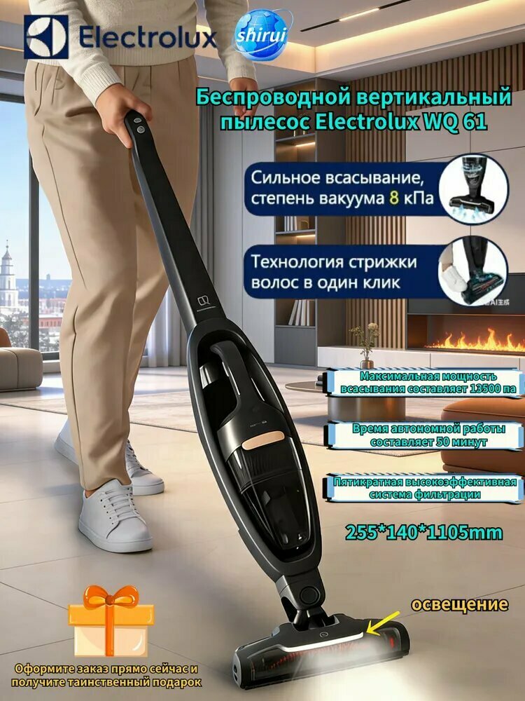 Electrolux Напольный пылесос E-10GG, черный матовый