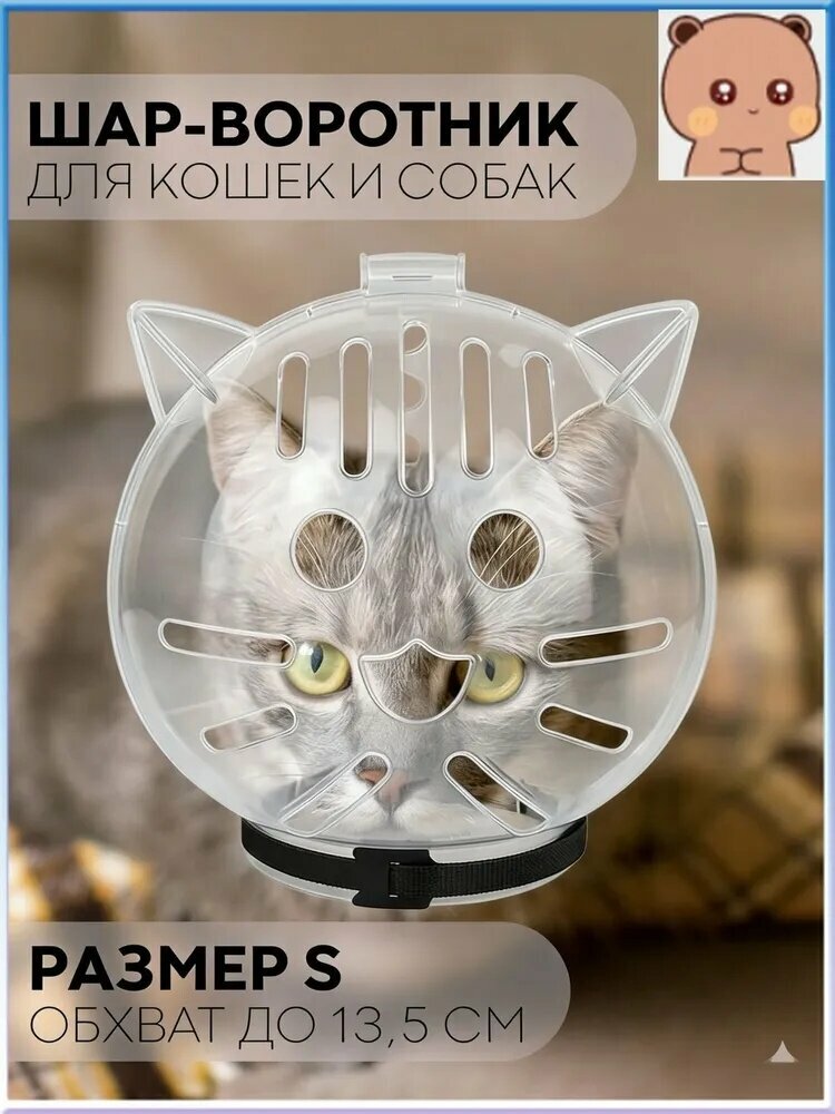 Пластиковый прозрачный шарнамордник популярный для кошек и мелких собак, надеваемый на голову для безопасной стрижки когтей, проведения гигиенического мытья или груминга