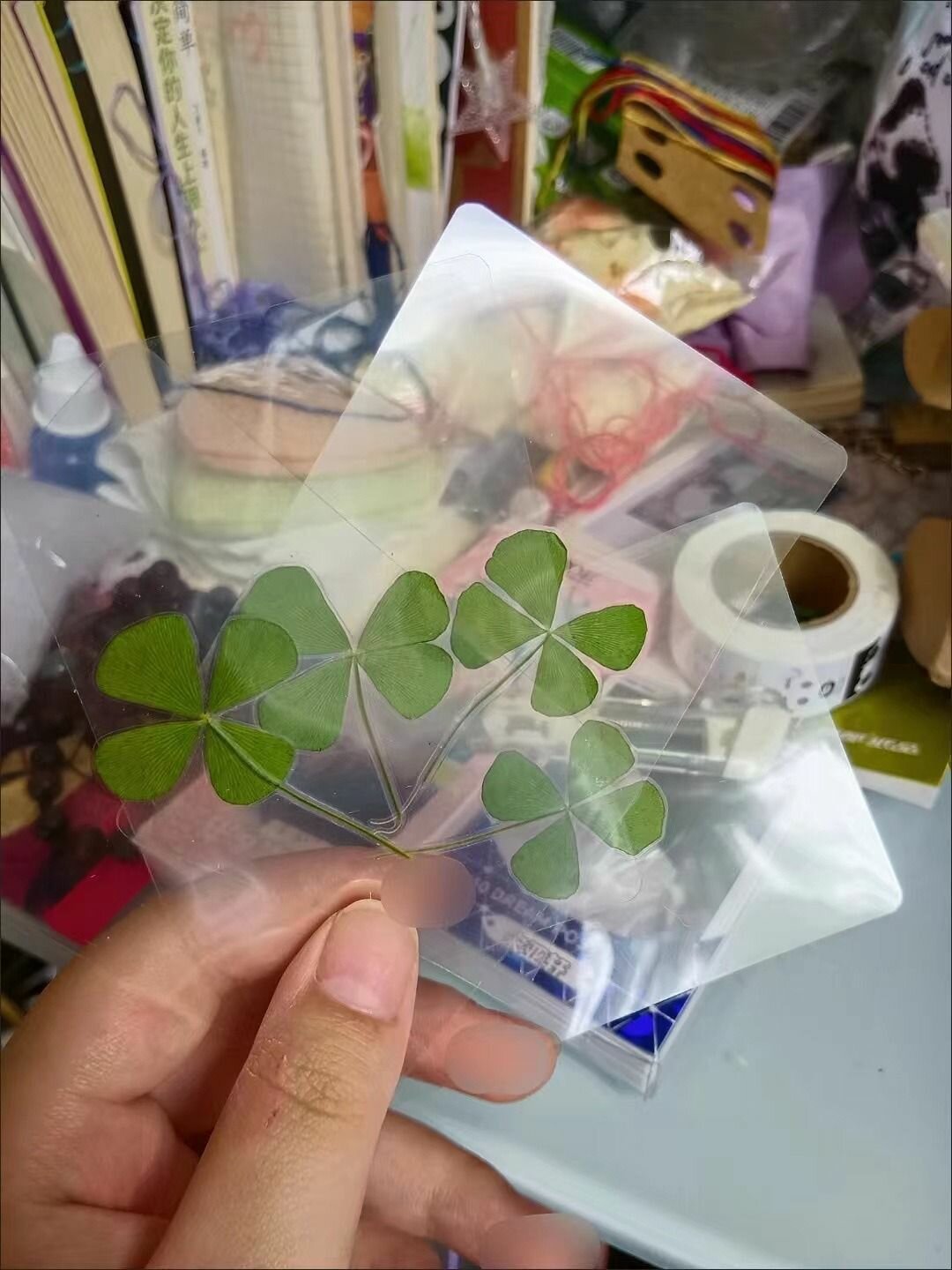 Настоящий четырехлистный клевер, амулет, приносит удачу, отгоняет невезение и сохраняет его сухим и постоянным.