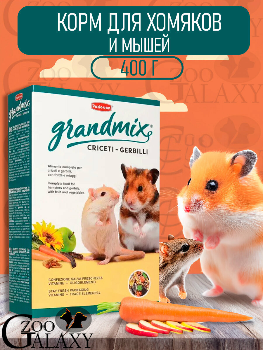 PADOVAN Grandmix корм комплексный для хомяков и мышей, основной 400г