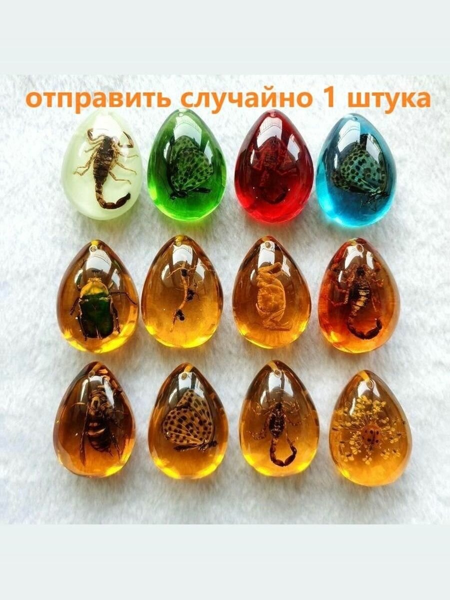 Ископаемые экземпляры янтарных насекомых, бабочка, из 1 штук