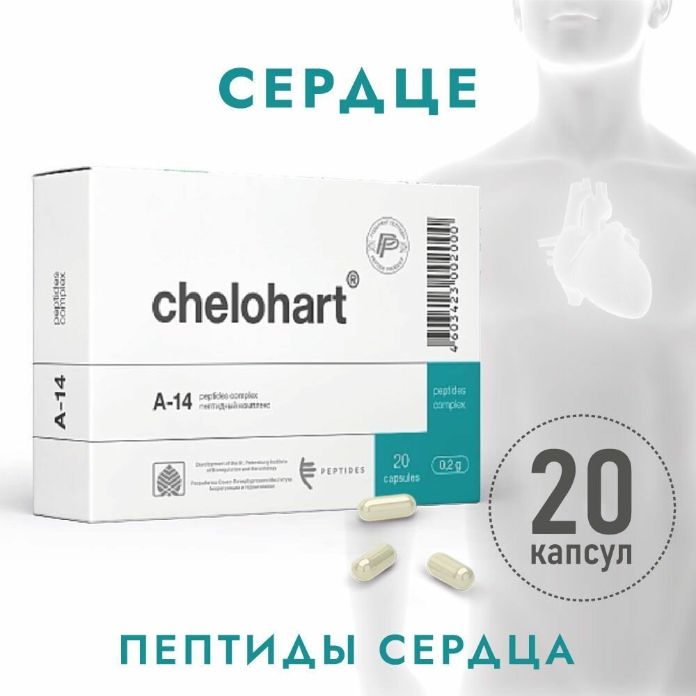 Челохарт (Пептиды Хавинсона) для сердечно-сосудистой системы, 20 капсул, для здоровья сердца
