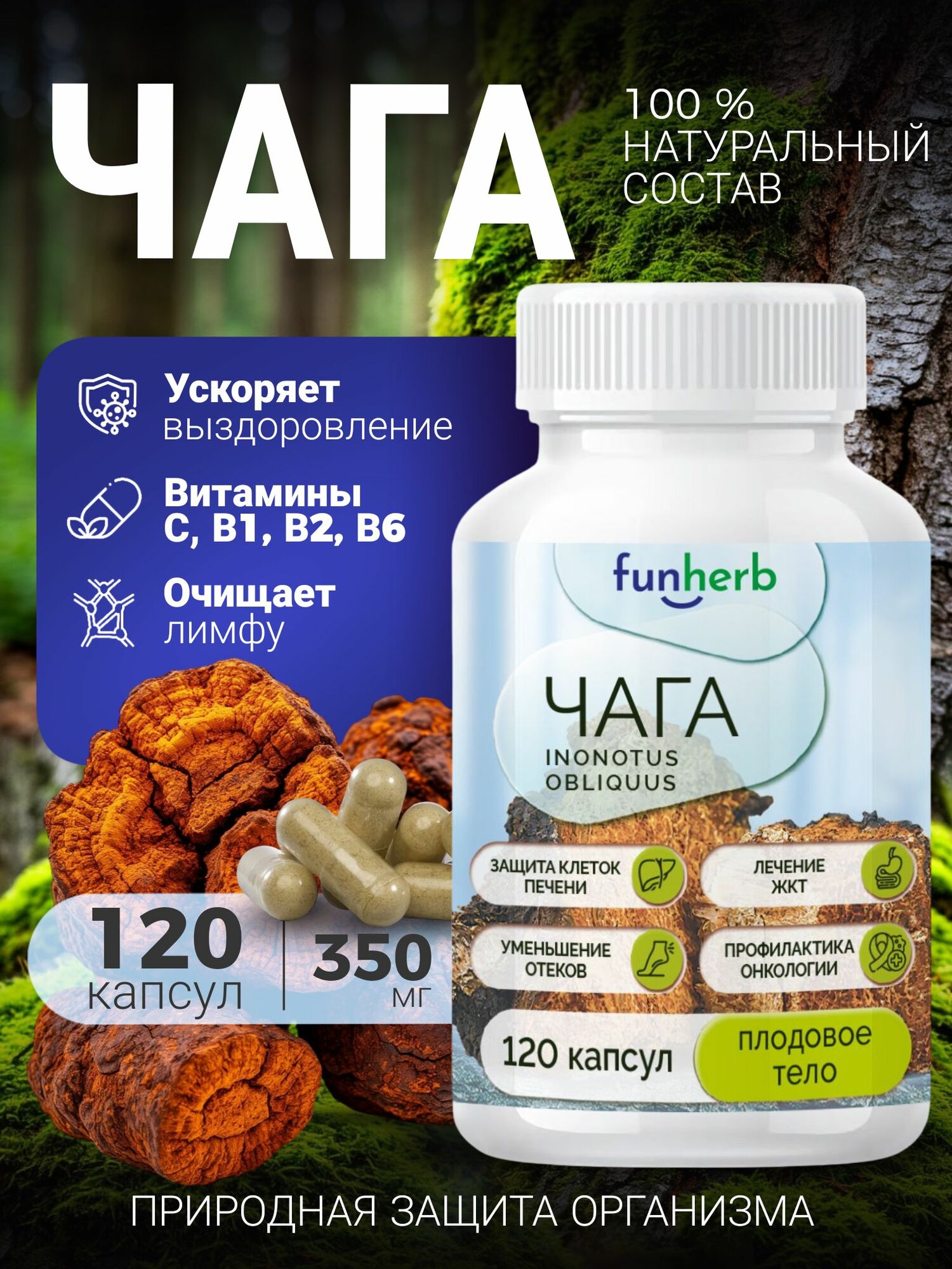 Чага натуральная березовая молотая в капсулах 120 капсул по 350 мг