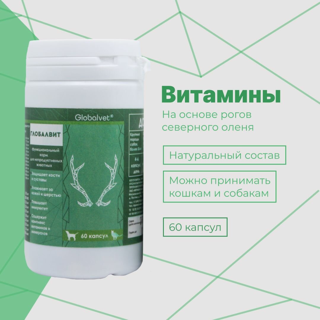 Витамины для собак GlobalVit, для костей и шерсти, с Омега-3 и глюкозамином