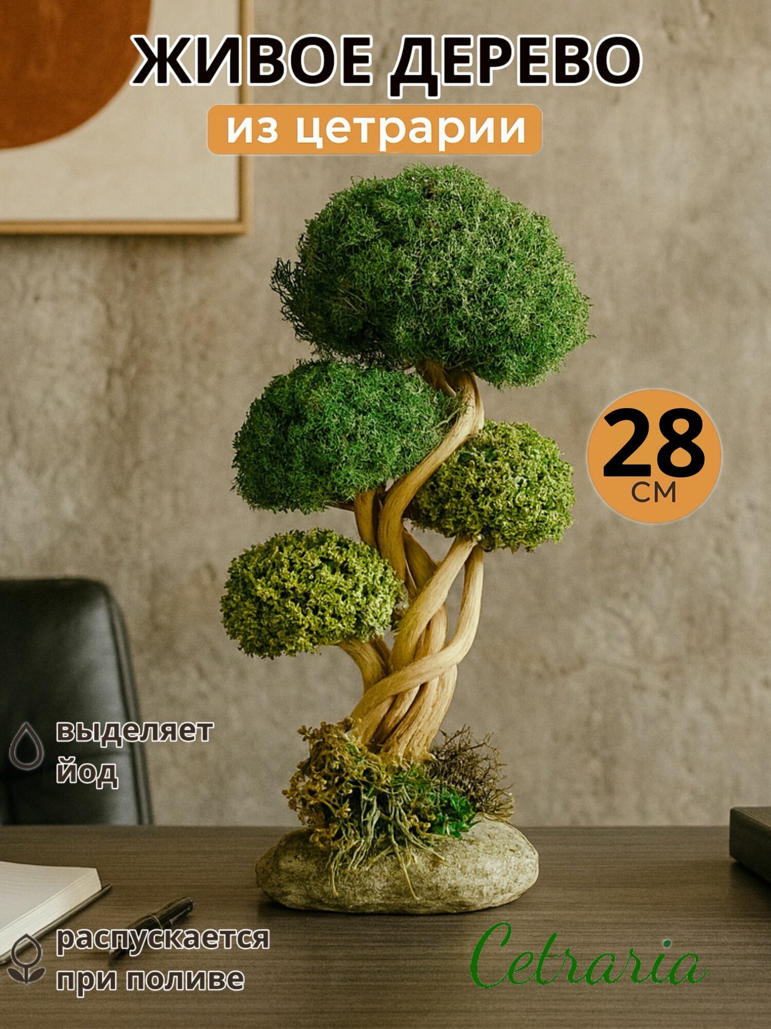 Интерьерное дерево из мха цетрарии на камне бонсай ручной работы