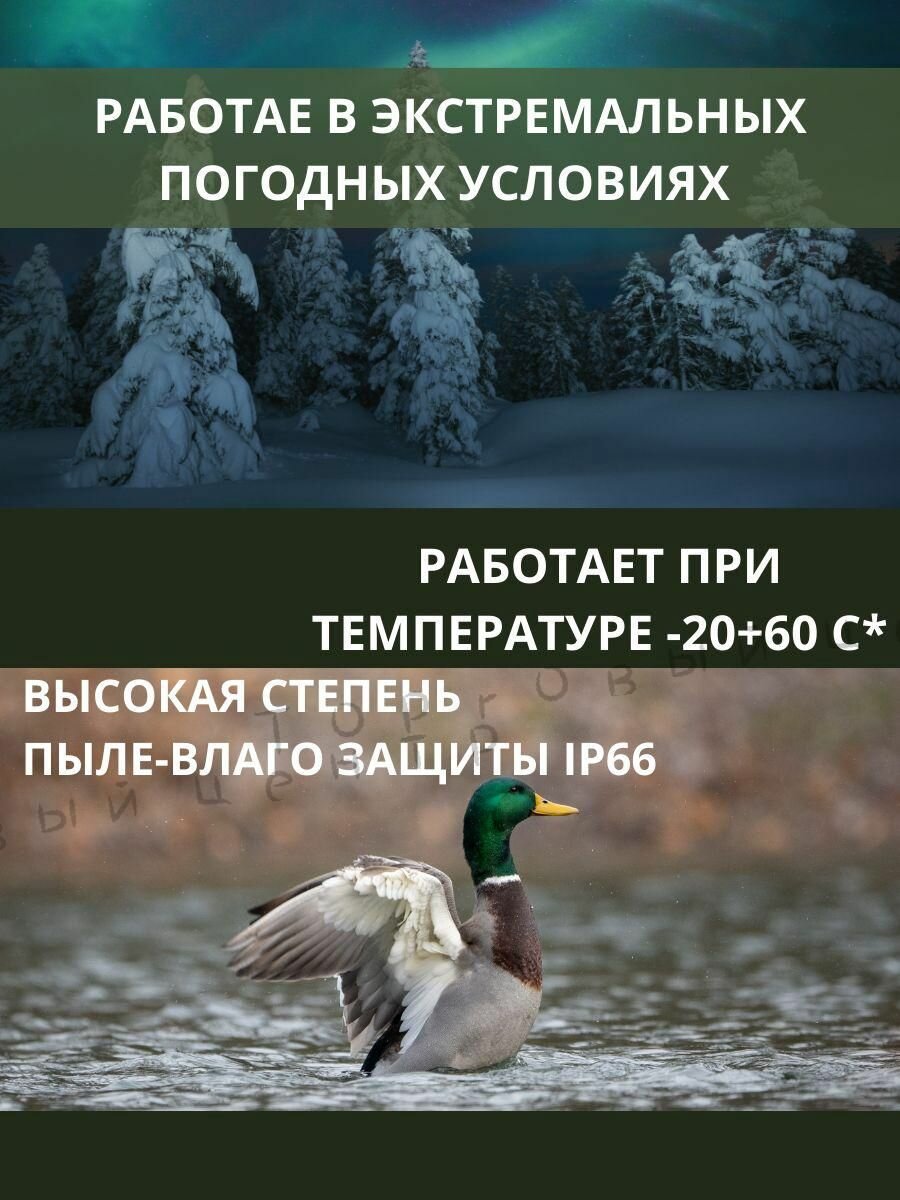 Фотоловушка — фото 1