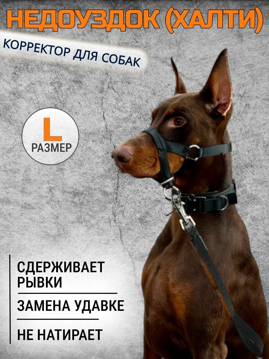 Намордник халти для собак крупных, средних, мелких пород / Недоуздок