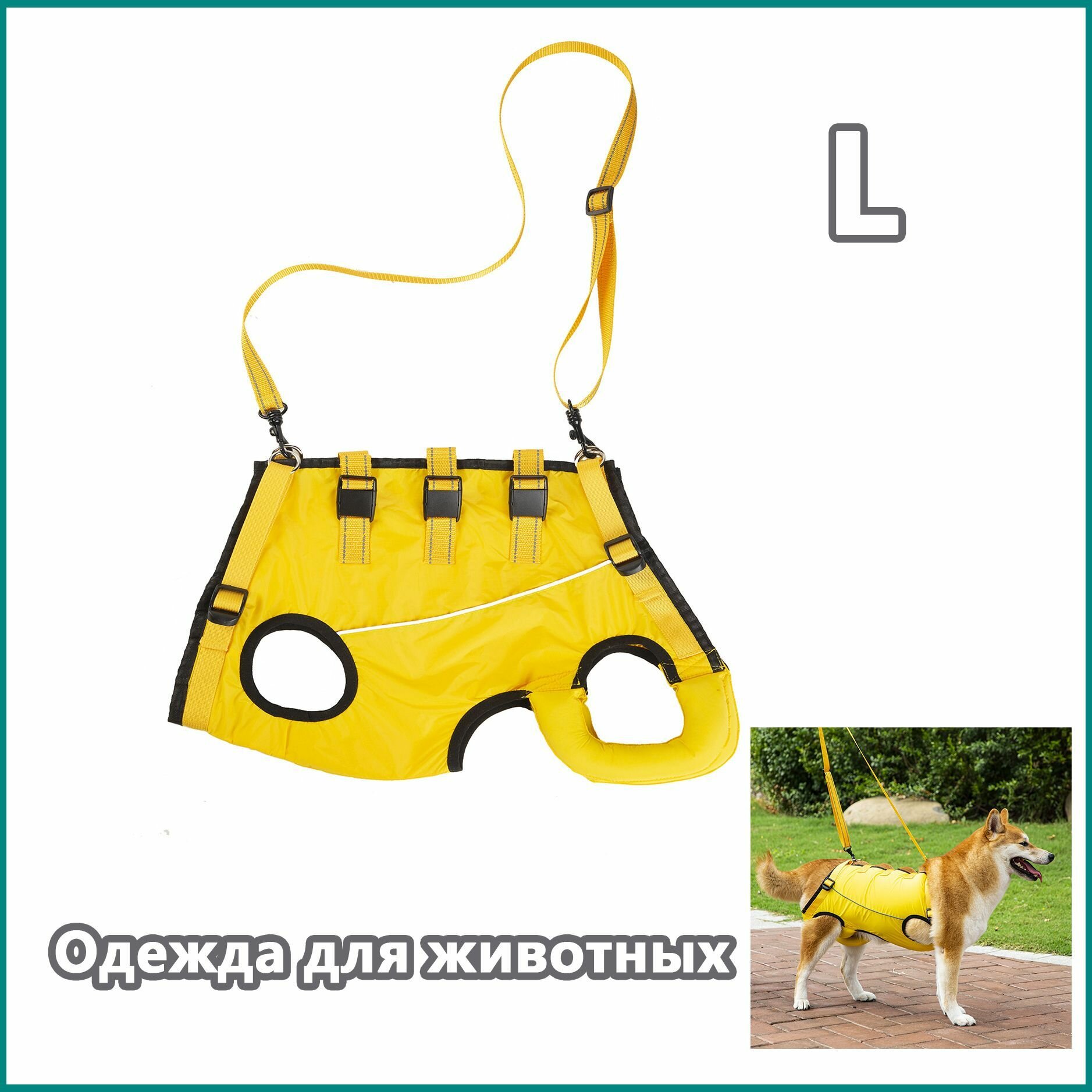 Автобокс для животных