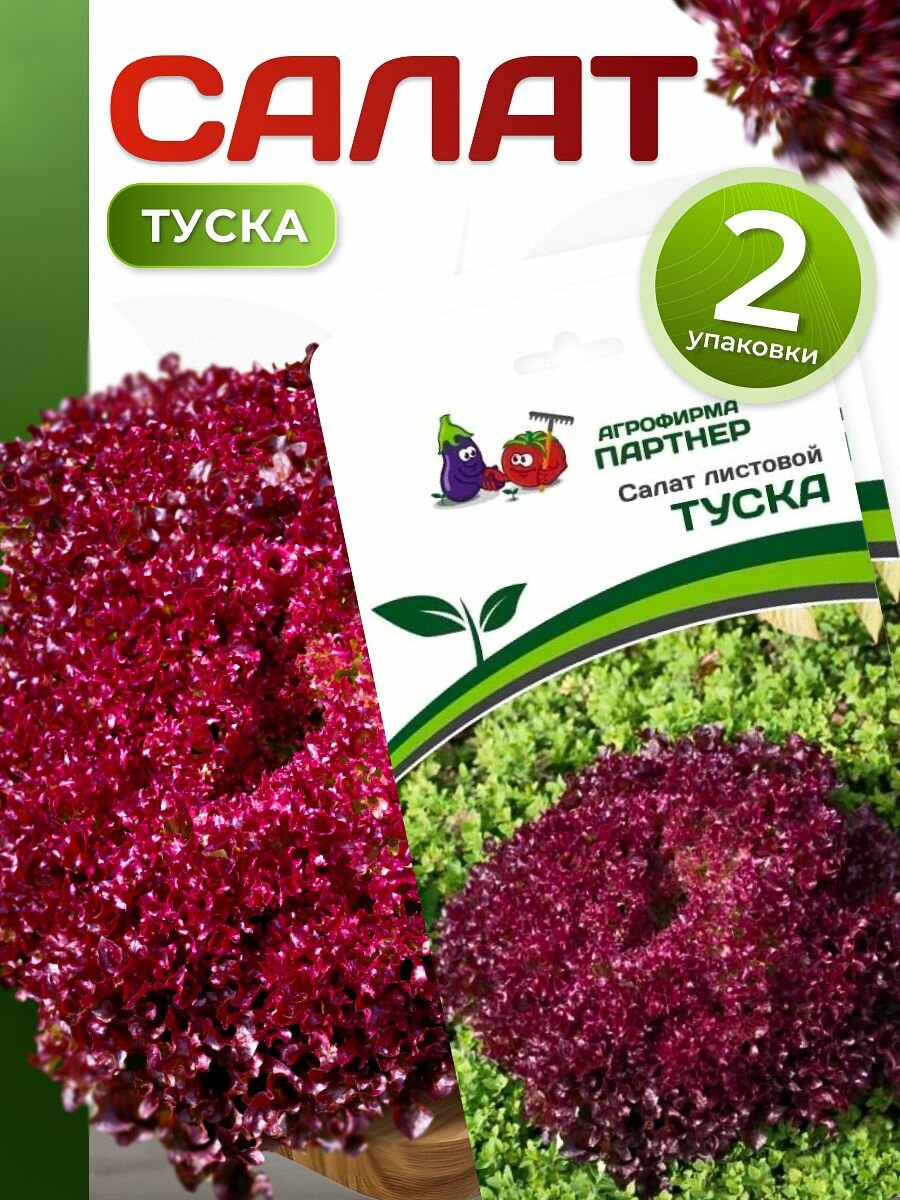 Семена листового салата Туска