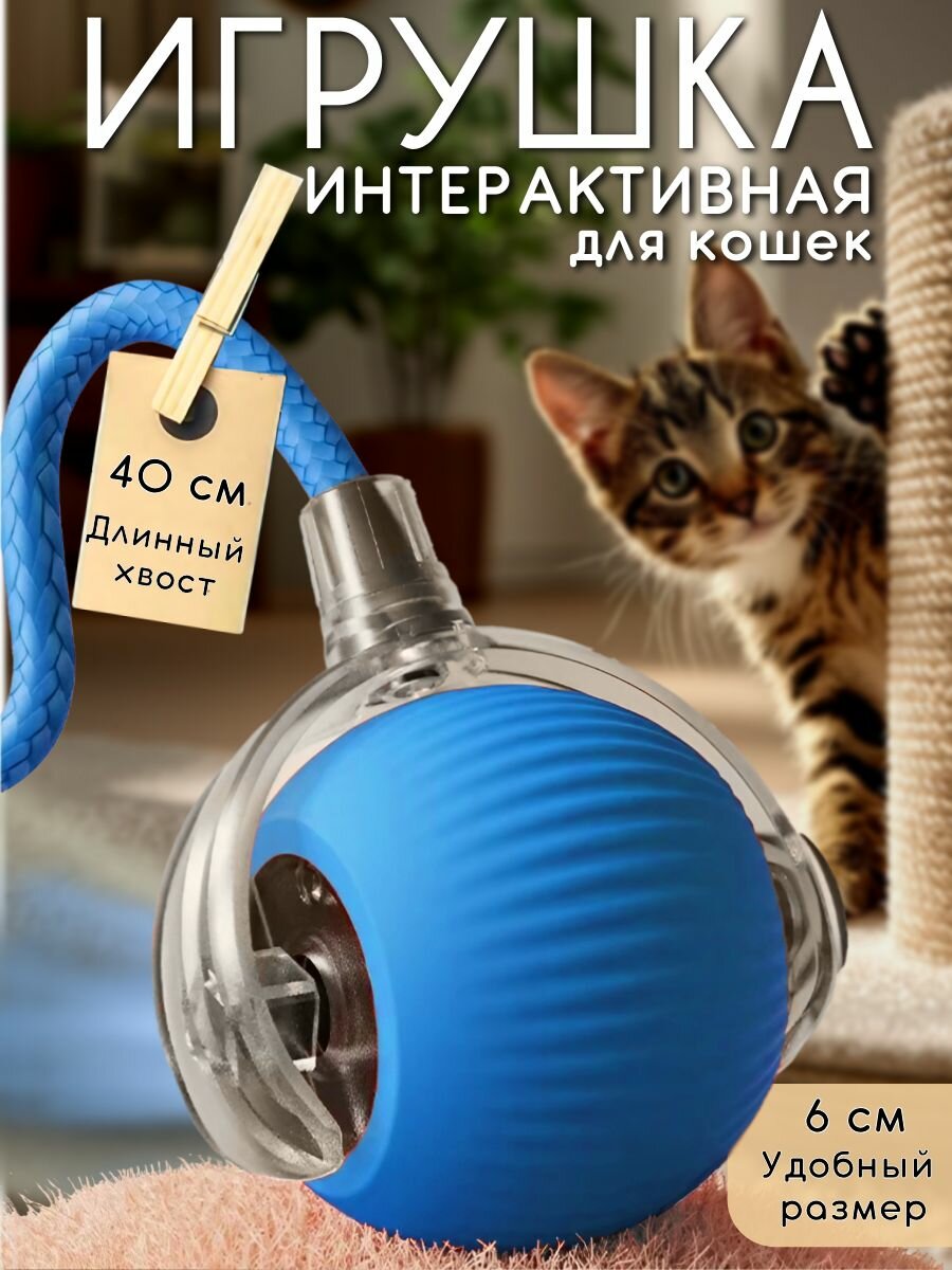 Игрушка для кошек Haoweida Pet Supplies "Умный мяч", синий, для развития, беговое колесо, ABS/силикон