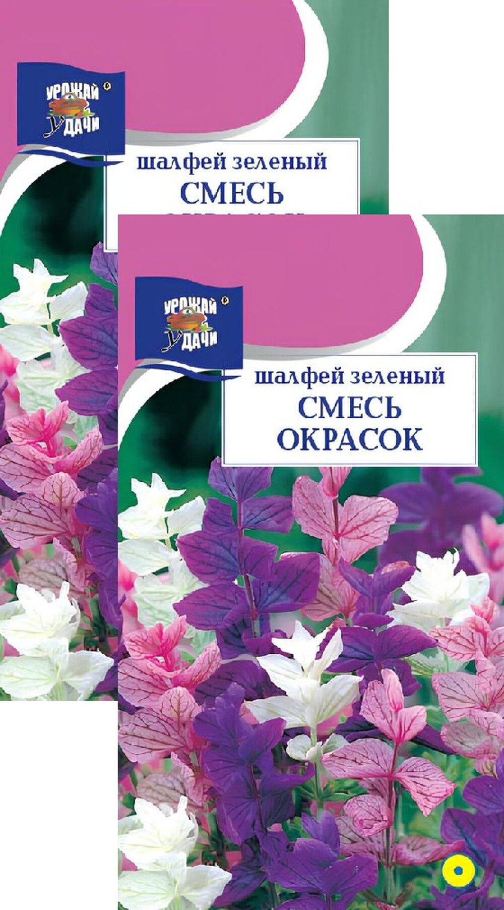 Семена Шалфей зеленый Смесь окрасок (0,2 г), 2 пакета, Урожай Удачи