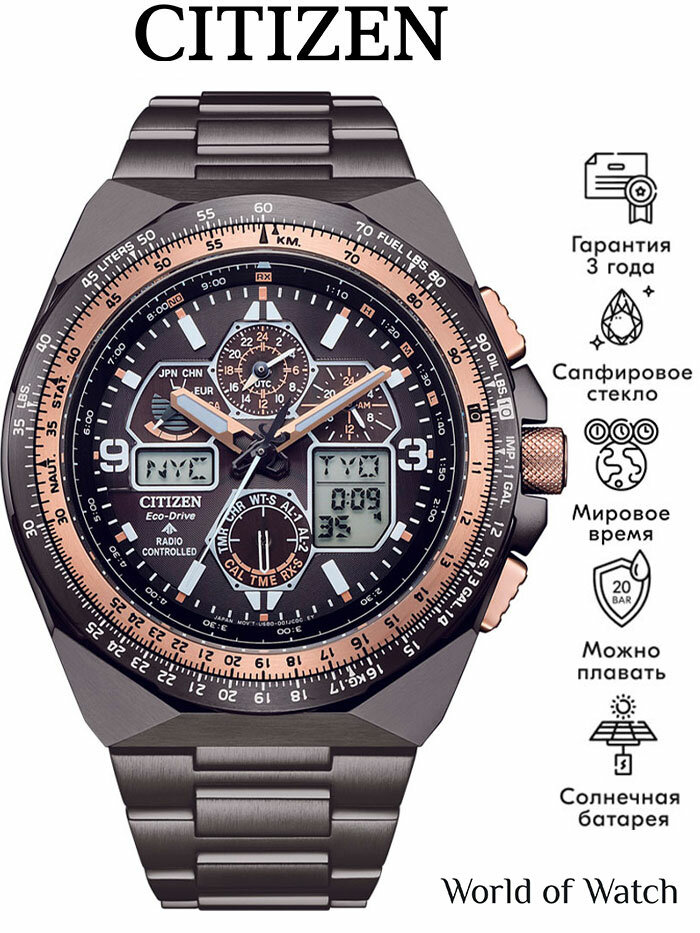 Наручные часы Promaster