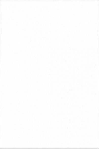 Керамогранит Kerama Marazzi Аджанта 8063 20x30 Матовая Белый