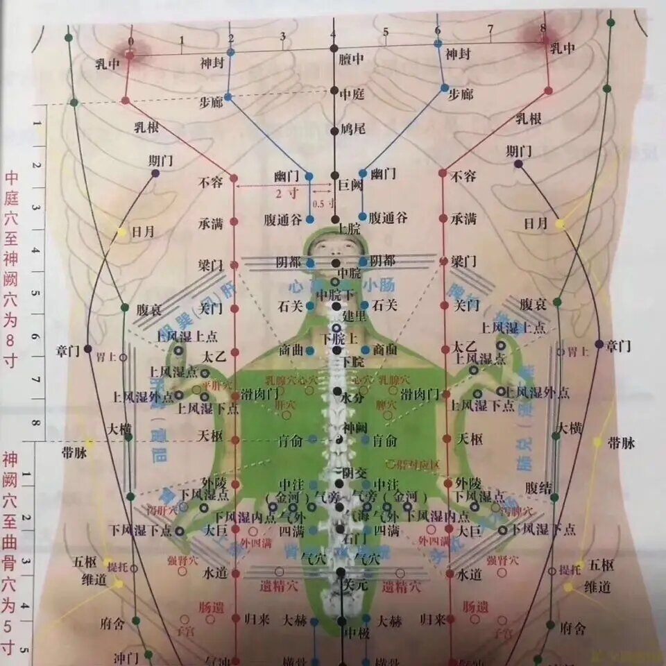 Руководство по абдоминальной акупунктурной терапии