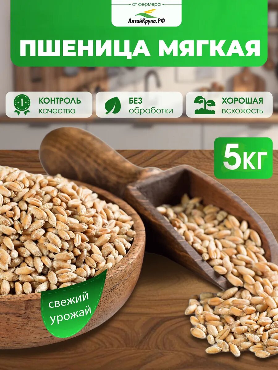 Пшеница мягких сортов подходит для проращивания 5 кг
