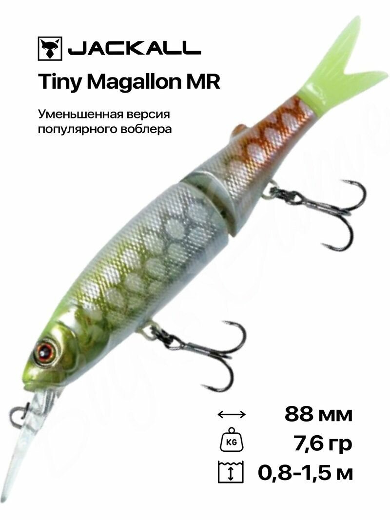 Воблер Jackall Tiny Magallon MR, 8,8 см, 7,6 гр, #Albino Chartreuse Piraruku