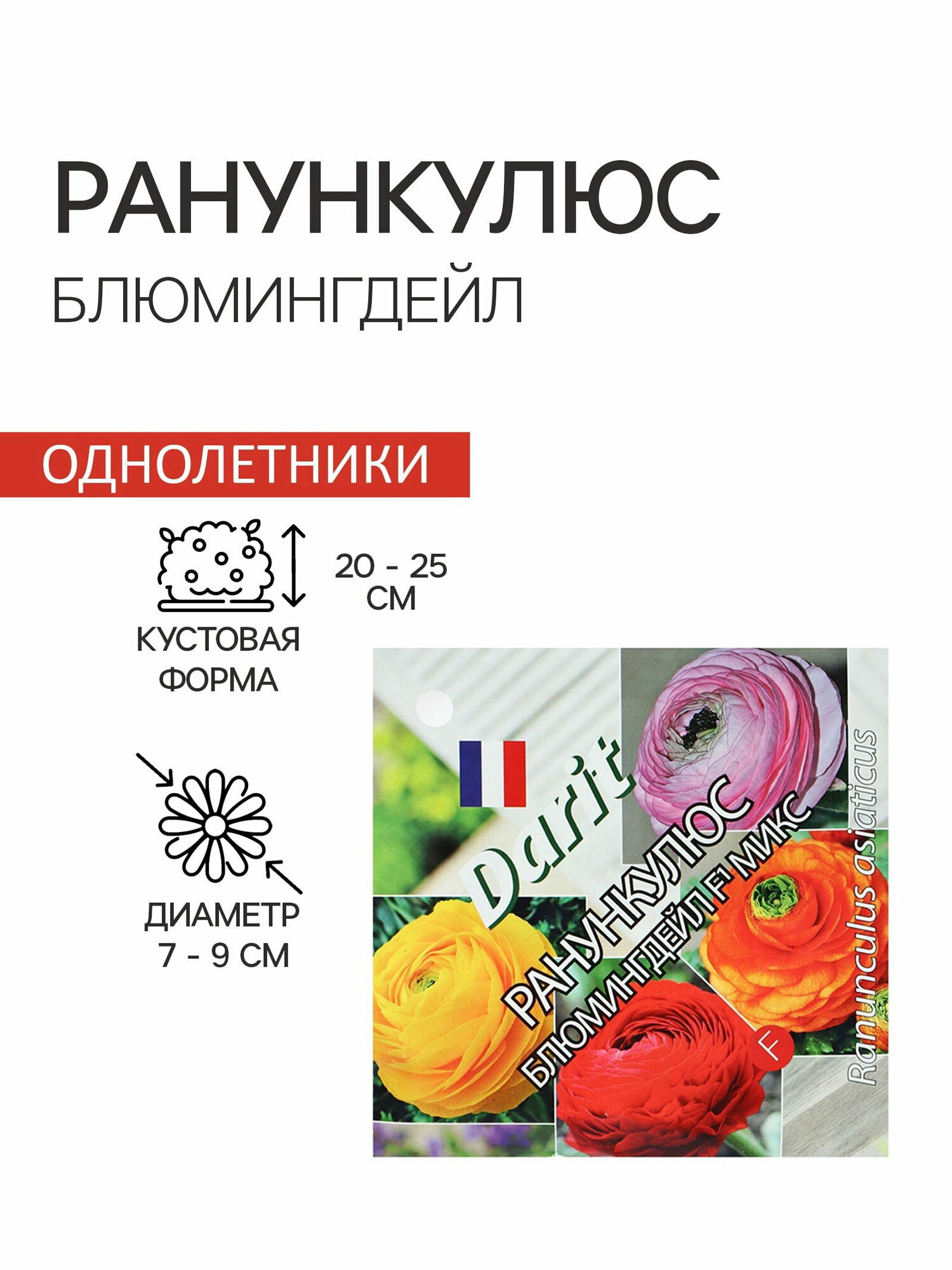 Семена цветов Ранункулюс "Блюмингдейл", 5 шт, цветение период: август