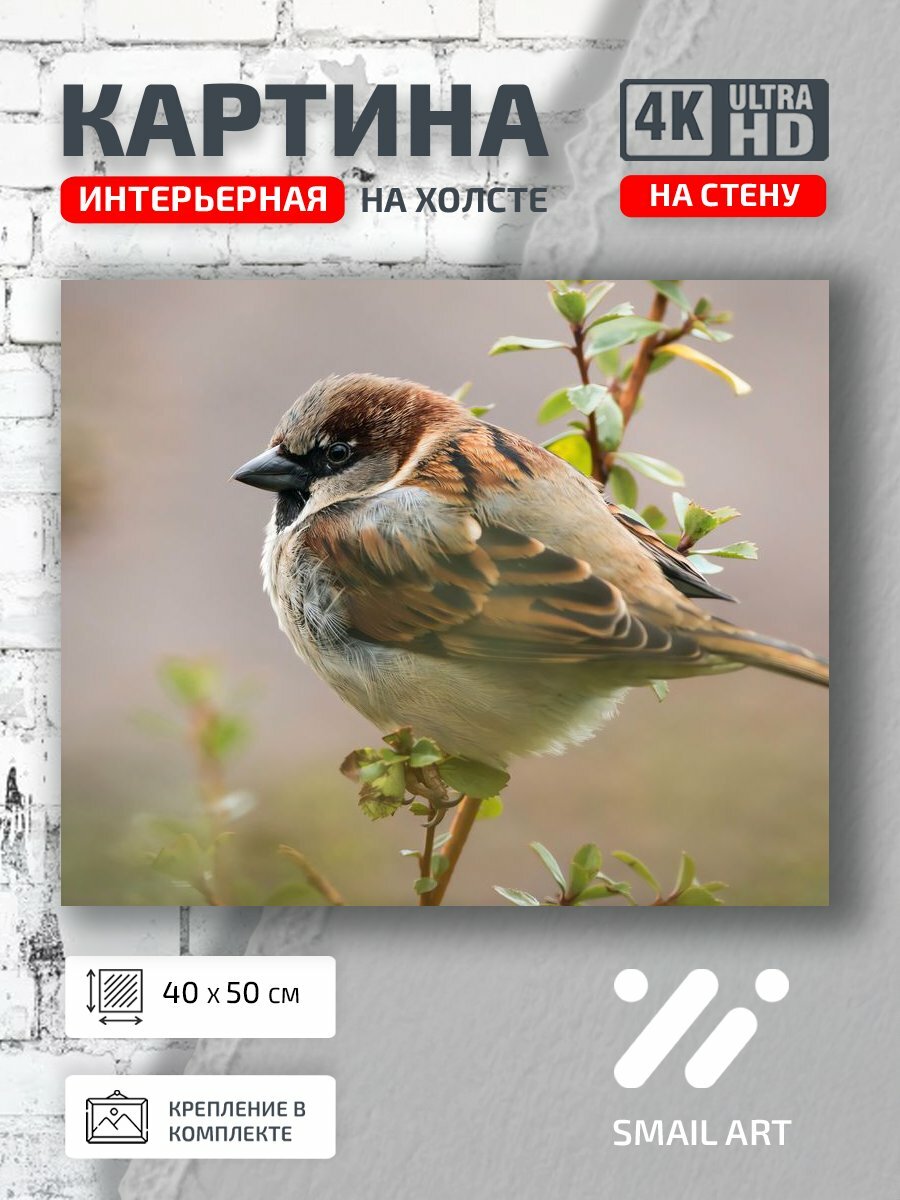 Картина на холсте интерьерная 40 на 50 на стену Снегирь Mood для гостиной атмосфера декор