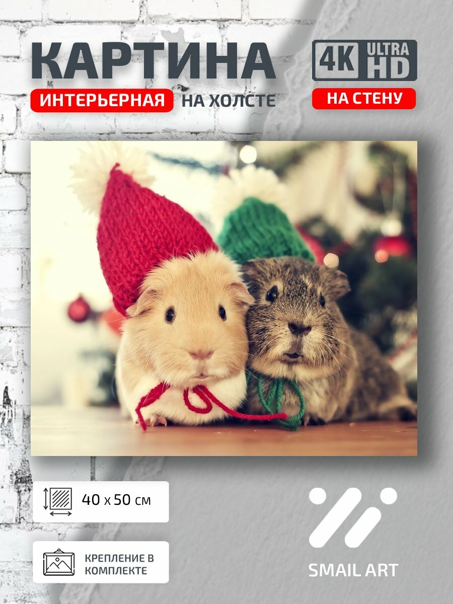 Картина на холсте интерьерная 40 на 50 на стену Шапки Landscape для спальни пейзаж интерьер