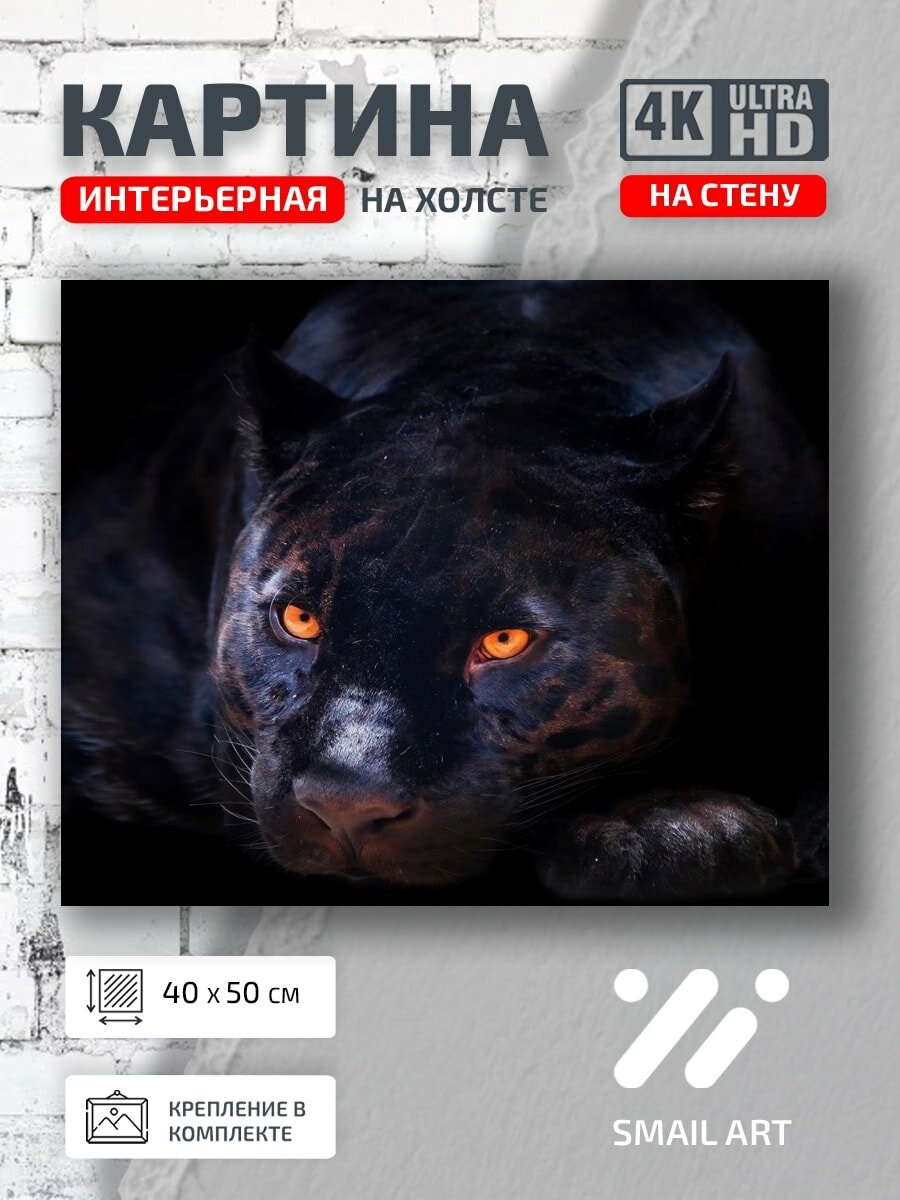 Картина на холсте интерьерная 40 на 50 на стену черная пантера для кабинета атмосфера