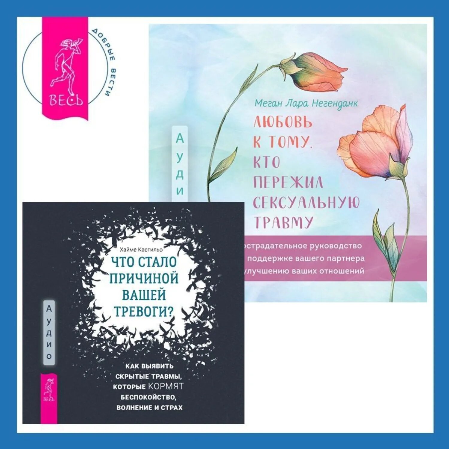 Любовь к тому, кто пережил сексуальную травму: Сострадательное руководство по поддержке вашего партнера и улучшению ваших отношений. Что стало причиной вашей тревоги? Как выявить скрытые травмы, которые кормят беспокойство, волнение и страх [Аудиокнига]