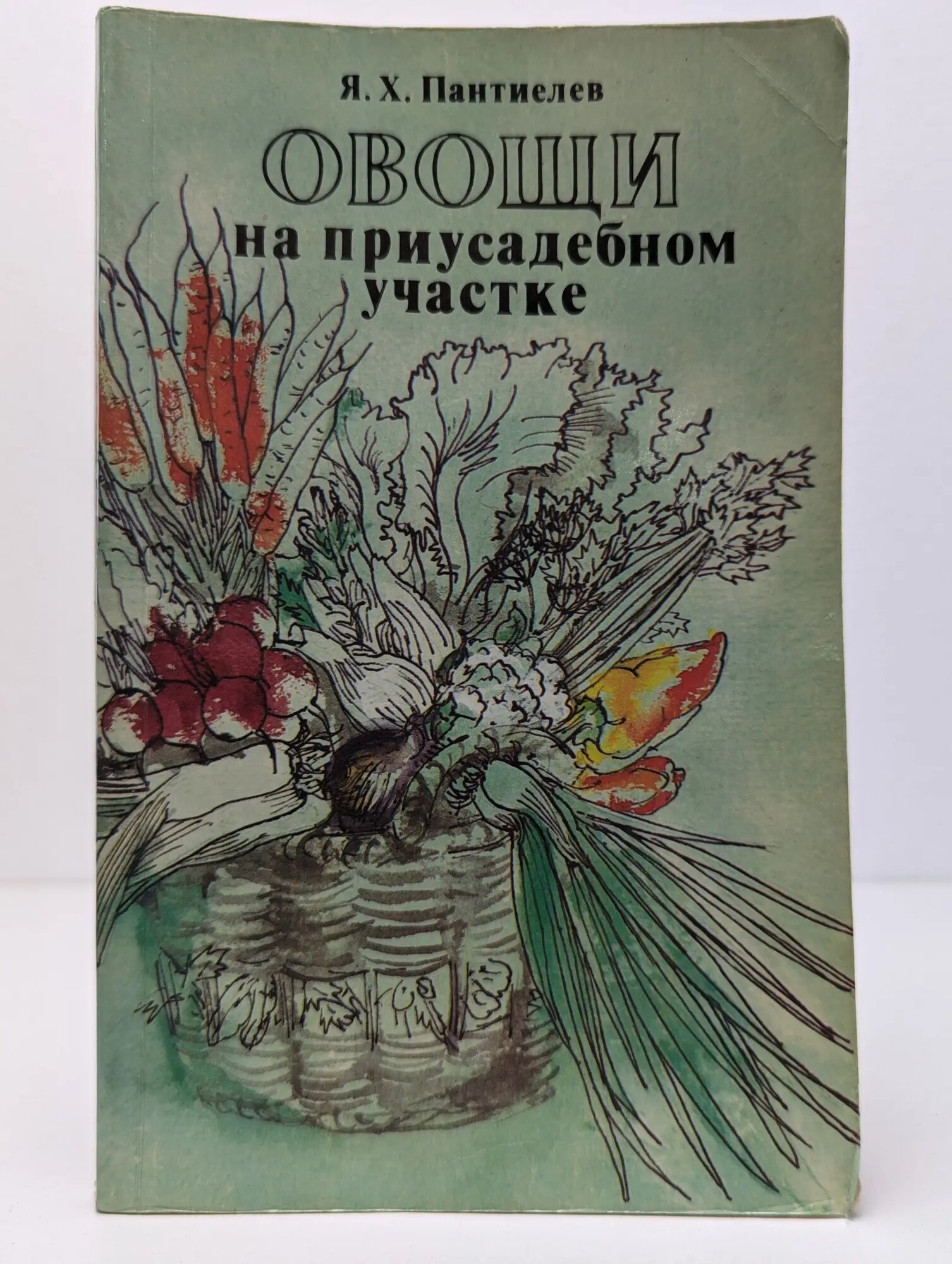 Овощи на приусадебном участке Пантиелев Яков Хацкелевич 1984