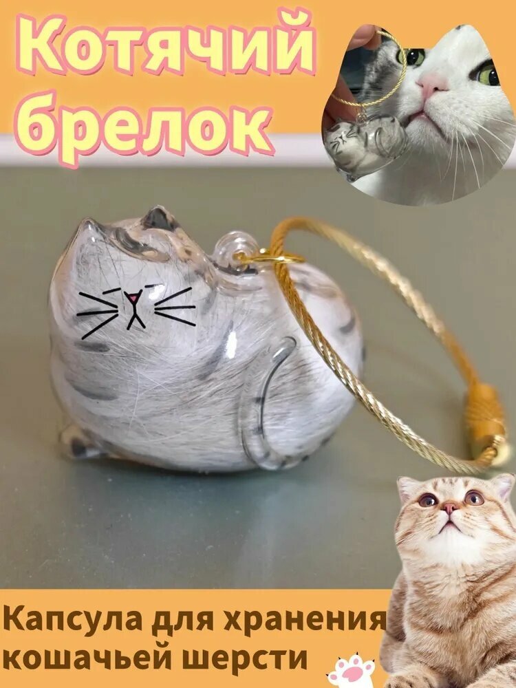 Коробка для хранения кошачьей шерсти, капсула для хранения кошачьей шерсти, кулон, брелок Gacha