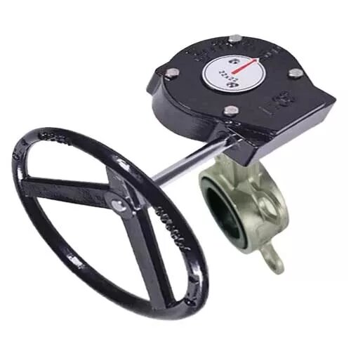 Затвор дисковый поворотный DN.ru 316L-316L-VITON Ду250 Ру16, с редуктором RDN-5