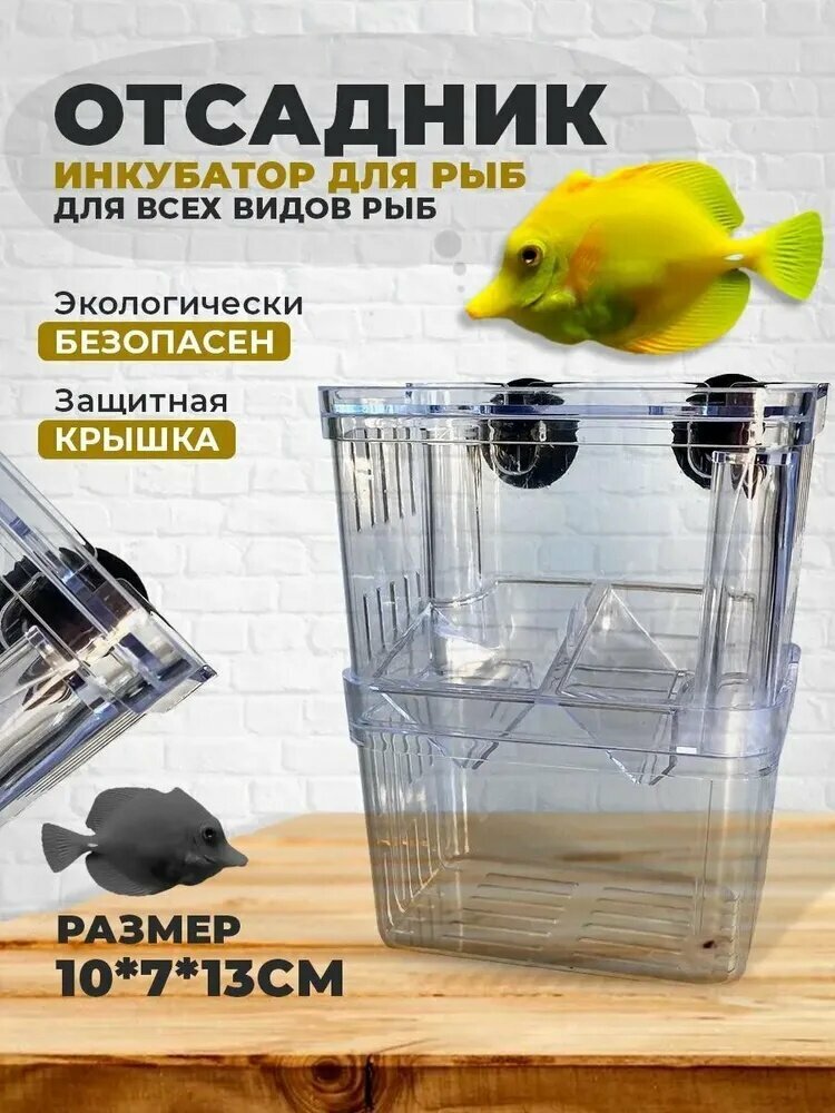 Отсадник инкубатор для рыб пластиковый 10х13х7 см